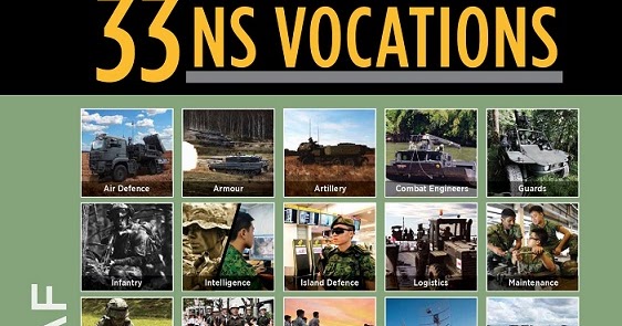 S M Ong: Choosing from 33 NS vocations & Singapore President isn't one ...