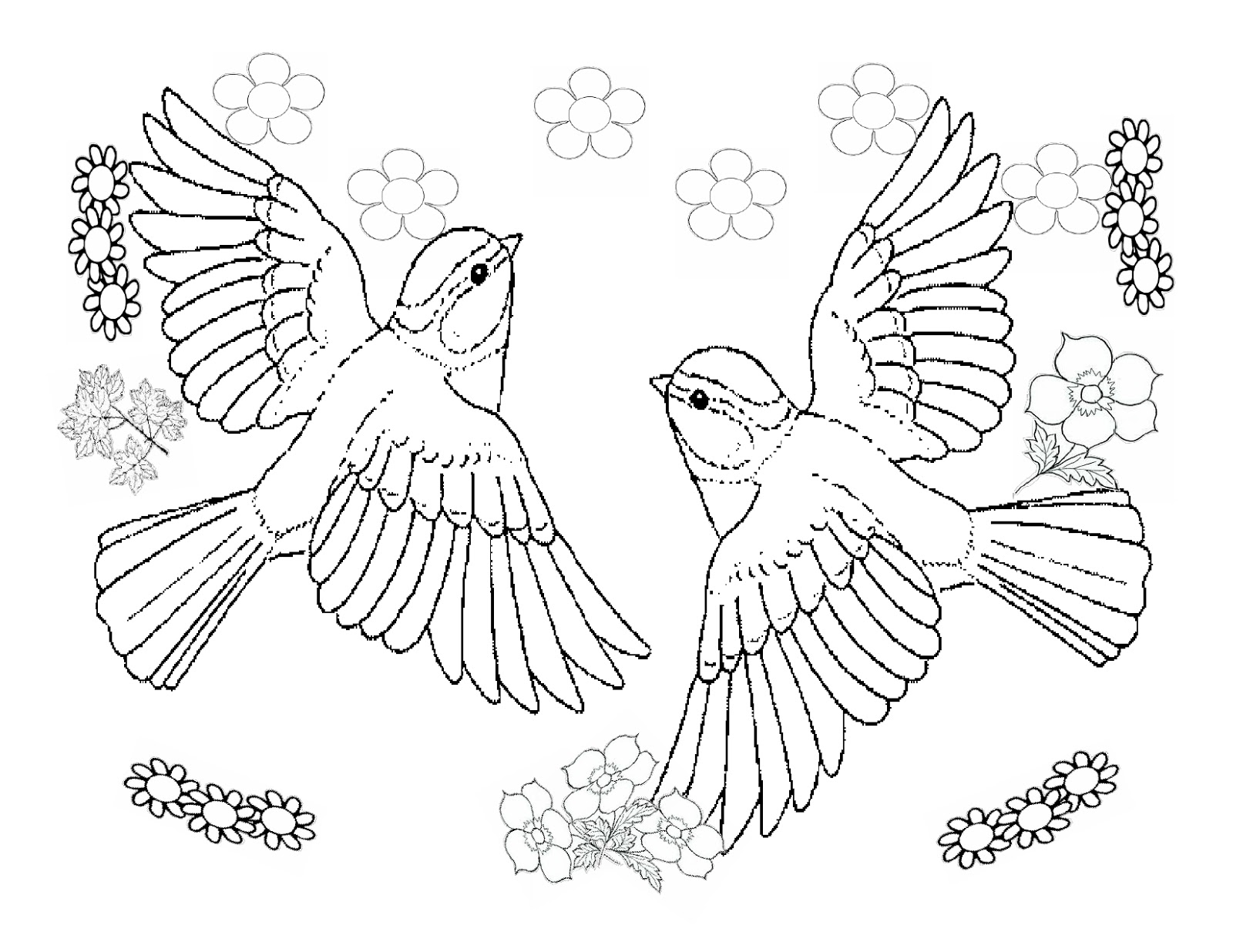 IMAGINI de colorat cu PASARI zburatoare :: Fise de lucru - gradinita si ...