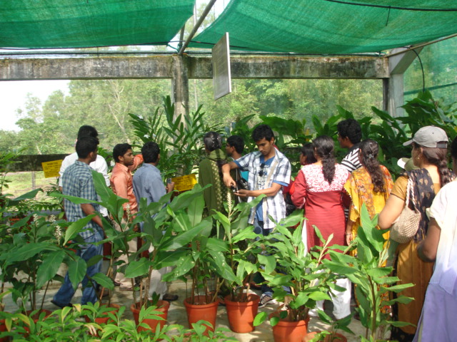 NATIONAL COLLEGE BLOG: Botanical Tour September 2011