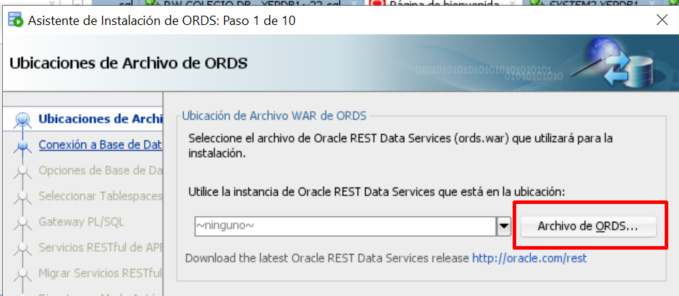 Cómo Instalar Oracle Sql Developer Web