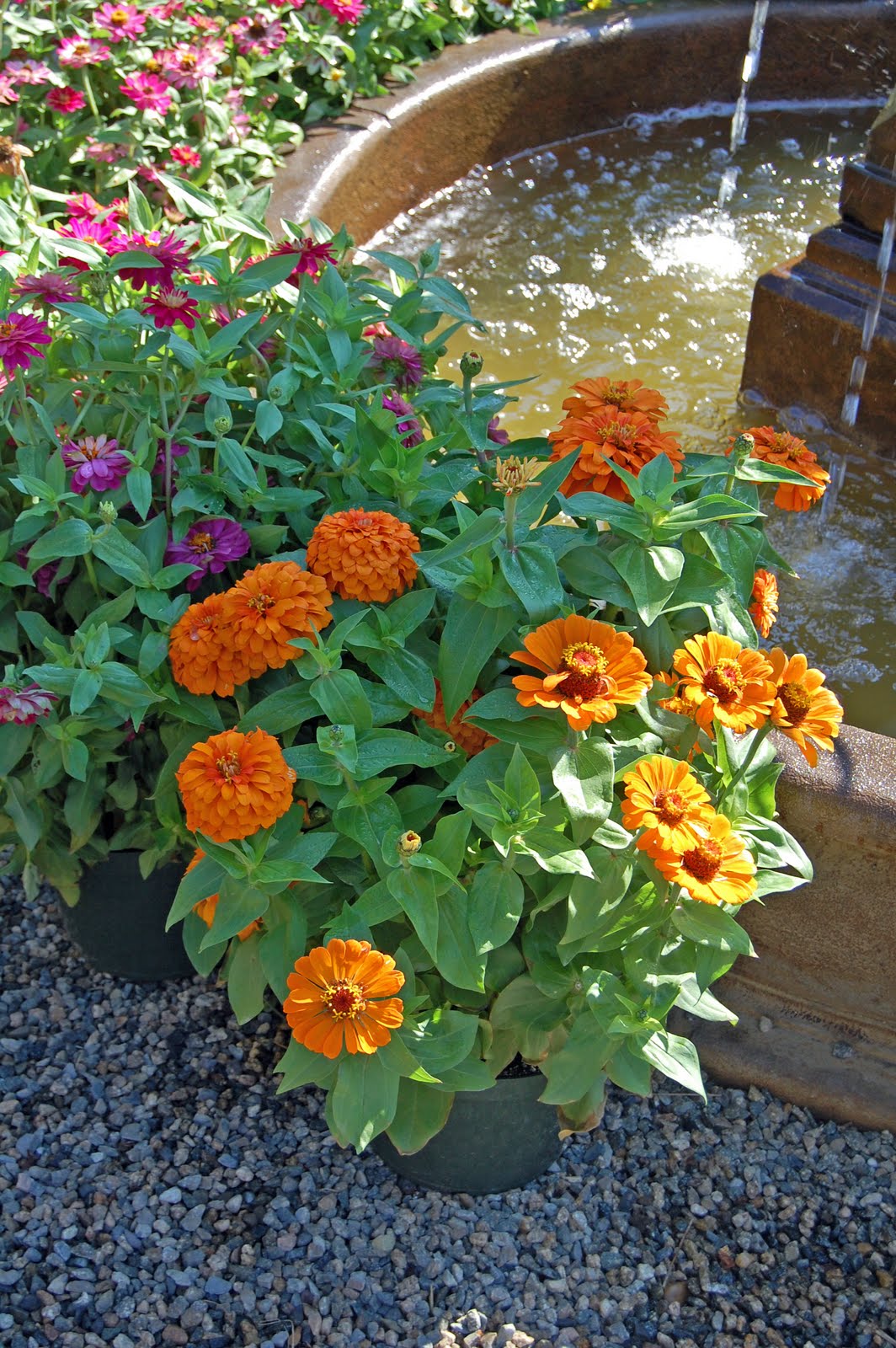 Happy Fall ~ Great Beautiful Garden