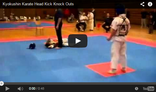 Kyokushin Karate Head Kick Knock Outs - Mixed Martial Arts