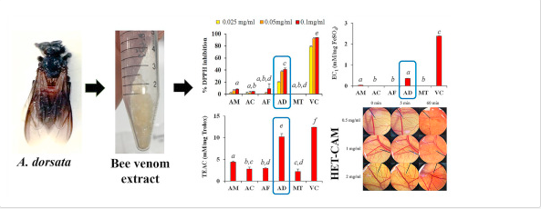 Apitherapy News: Giant Honey Bee Venom Shows High Antioxidant Activity ...