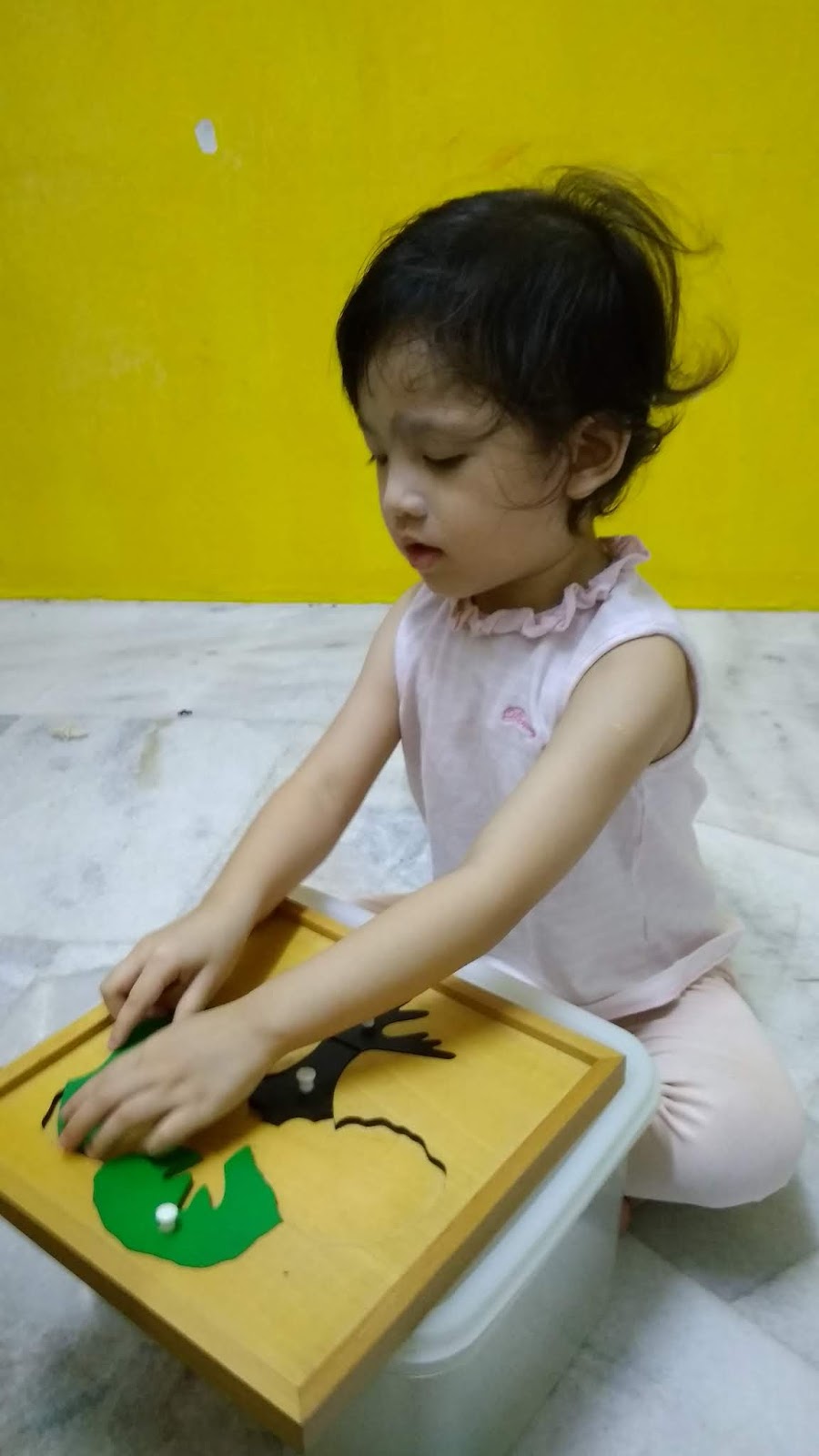 Taska Ummi Ida: Aktiviti 3 Tahun : Aktiviti Puzzle Pokok