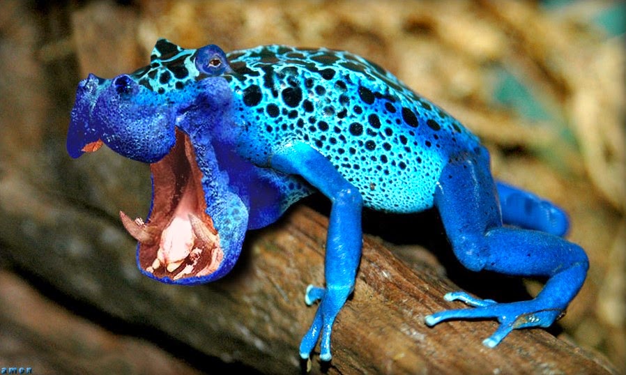 Gradina zoologică din Cernobil. Animale postapocaliptice | Imaginarium