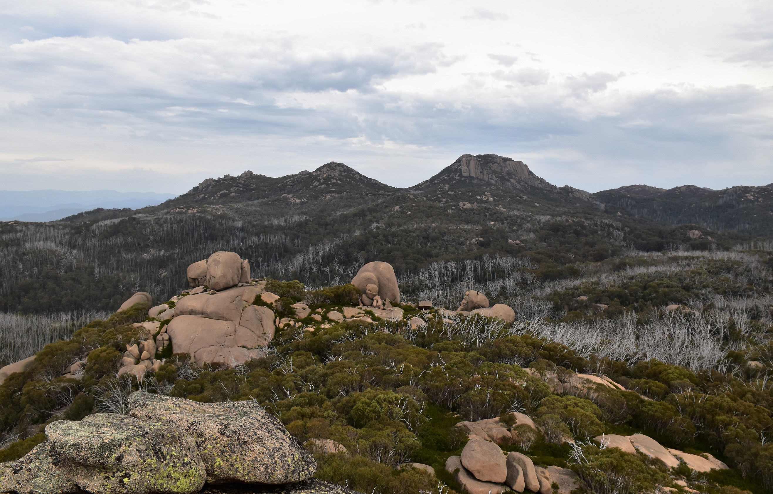 Goin' Feral One Day At A Time: Mt Buffalo Circuit Walk, Mt Buffalo ...
