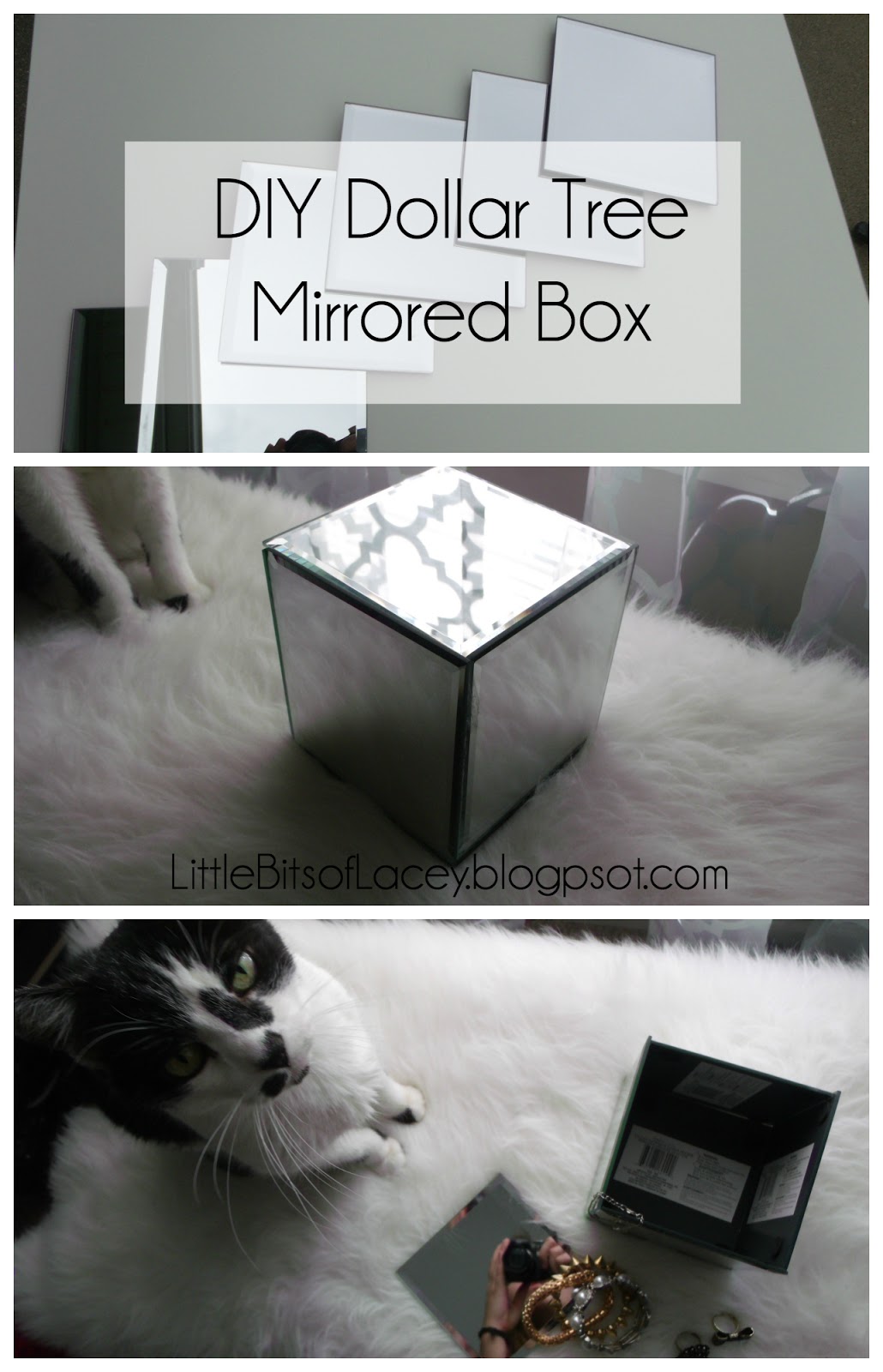 Little Bits of Lacey: DIY Dollar Tree Mirrored Box