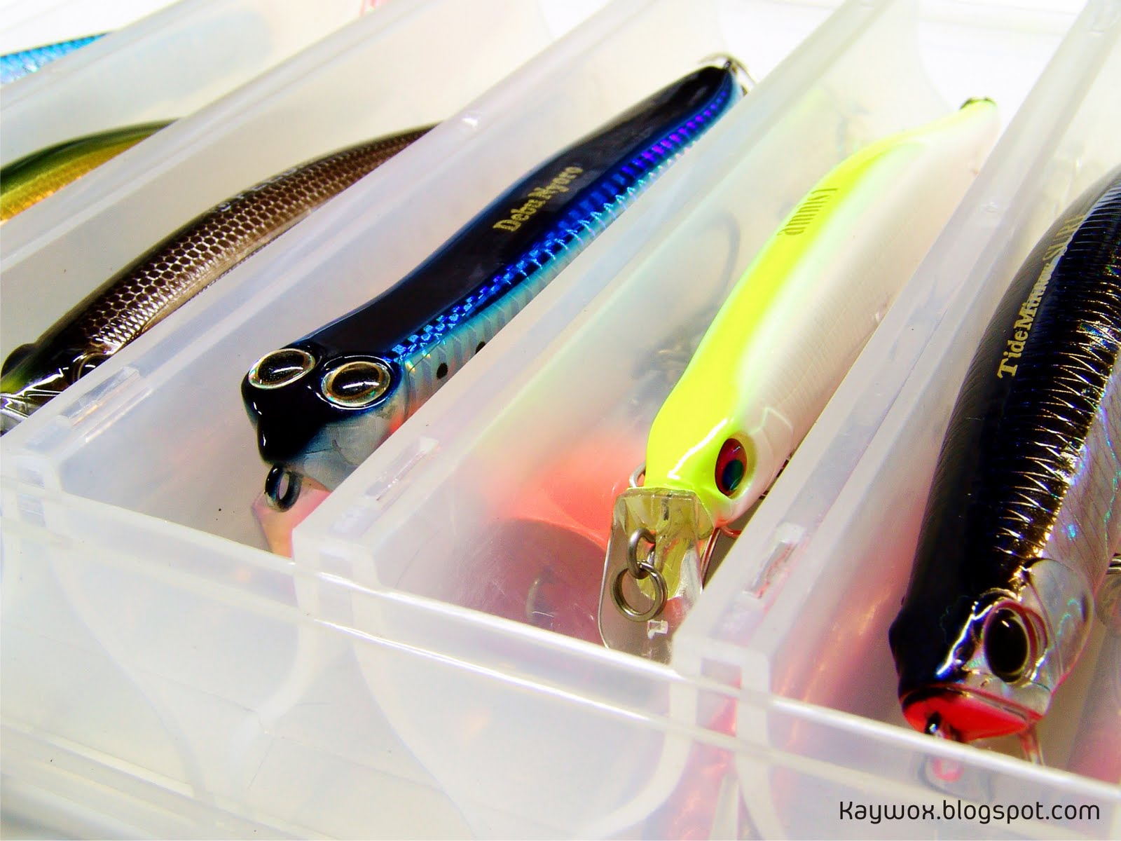 Pescar com Kaywox: Onde guardar as amostras