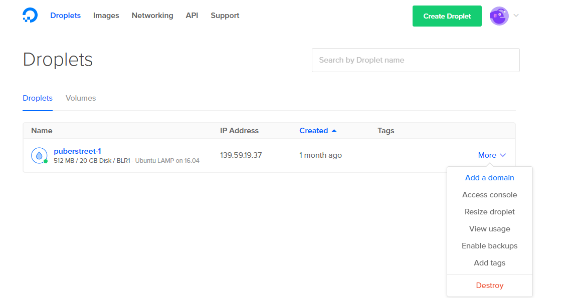 Digitalocean Domain Name Setup