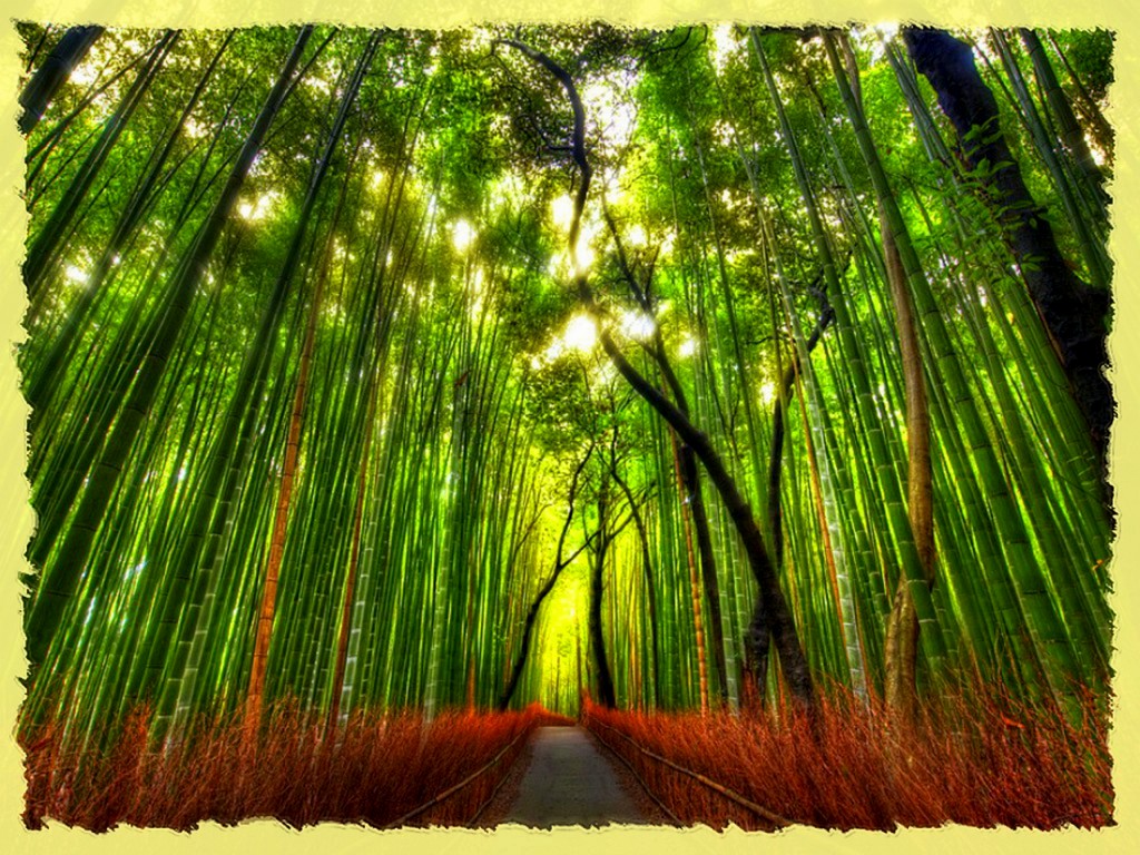 Keindahan Pepohon Sepanjang Jalan... - Relaks Minda