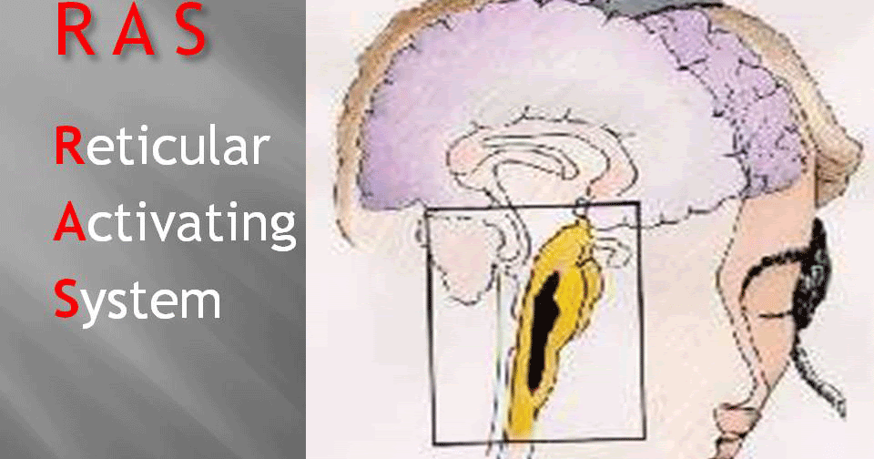 Stress management: ΔΙΑΧΕΙΡΙΣΗ ΣΥΝΑΙΣΘΗΜΑΤΩΝ/RAS (5)