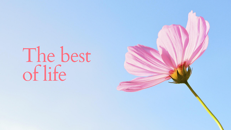The Best of Life: The 15 things to do in life