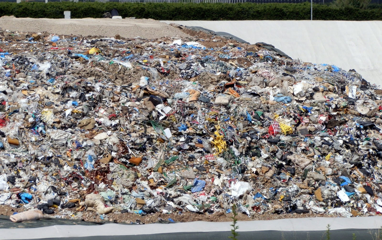 Se per ogni tonnellata di Rifiuti scaricati in Discarica Siberie il ... Se per ogni tonnellata di Rifiuti scaricati in Discarica Siberie il ...