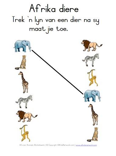 Stroom-op Akademie: Gratis Tema Werkkaarte: Afrika en afrika diere