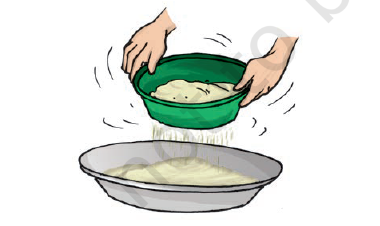 Class 6 Science Chapter 5 Exercises