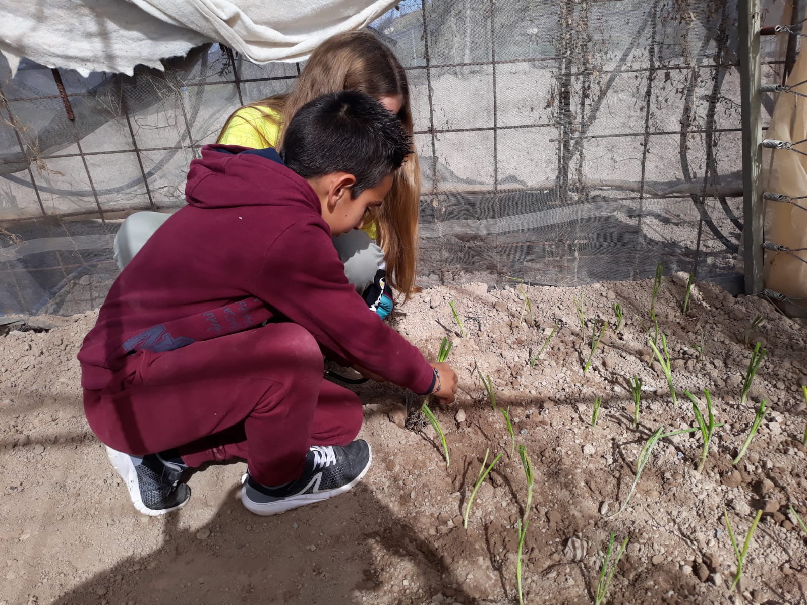Excursión a la granja del abuelo Juan – CPR Negratín