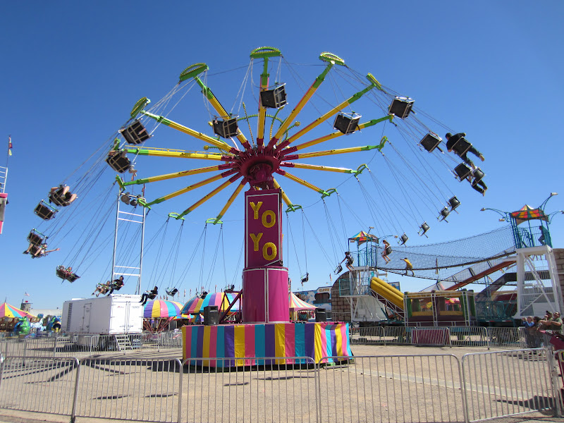 wayside wanderings: Pinal County 4-H Fair