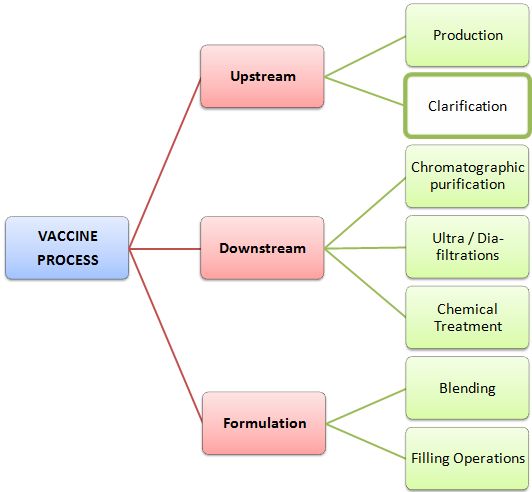 QPath: Vaccine: Harvest and Clarification