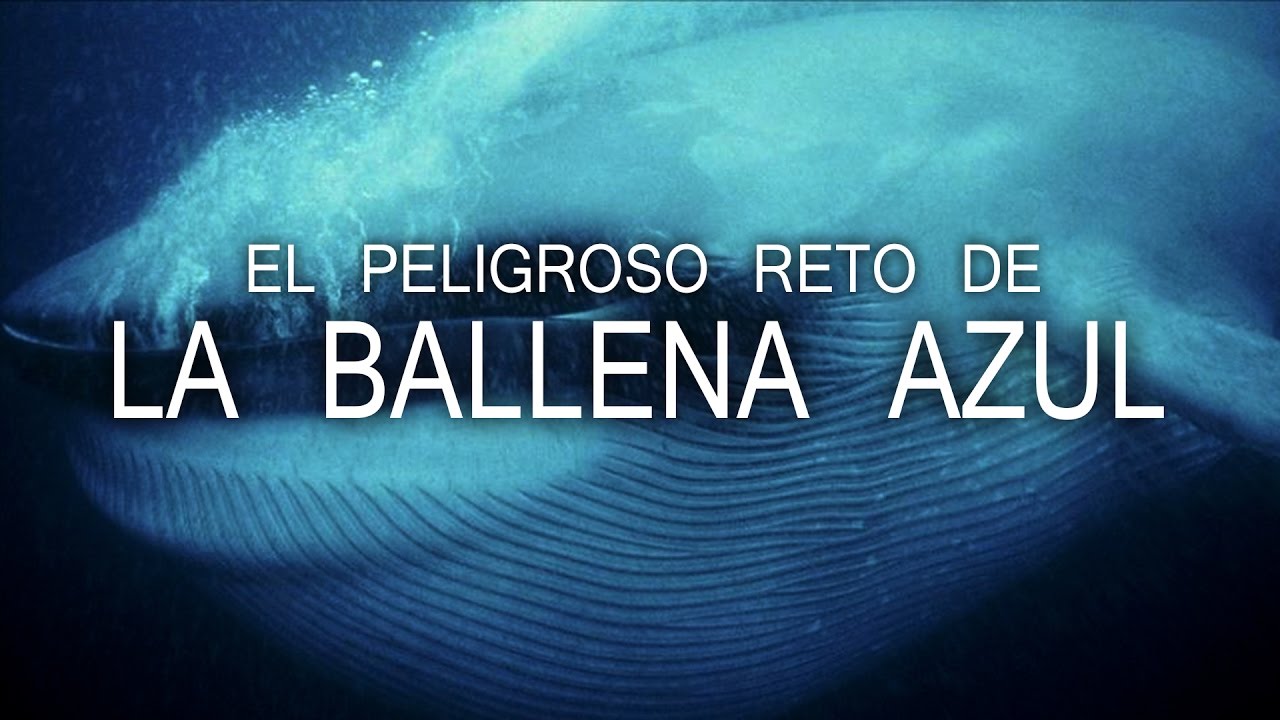 Qué es el peligroso juego de "La ballena azul" y por qué preocupa a las ...