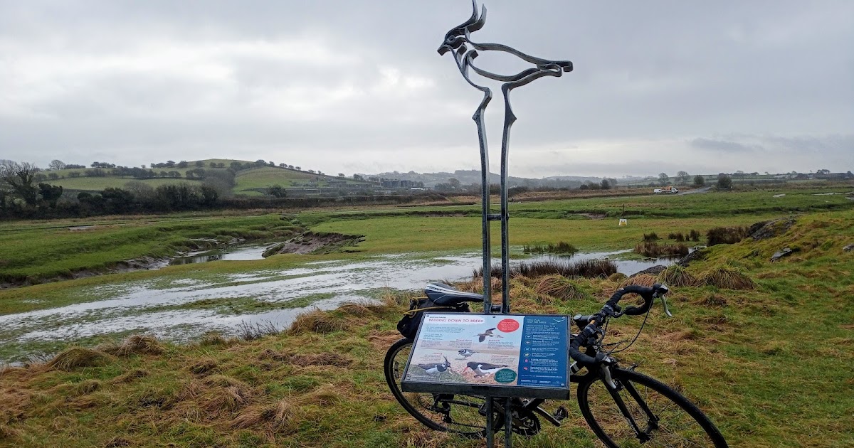 Emerging From The Undergrowth: Morecambe Bay bird sculptures