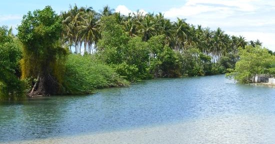 Flight of Ideas 2.0: "Sa Ilog"