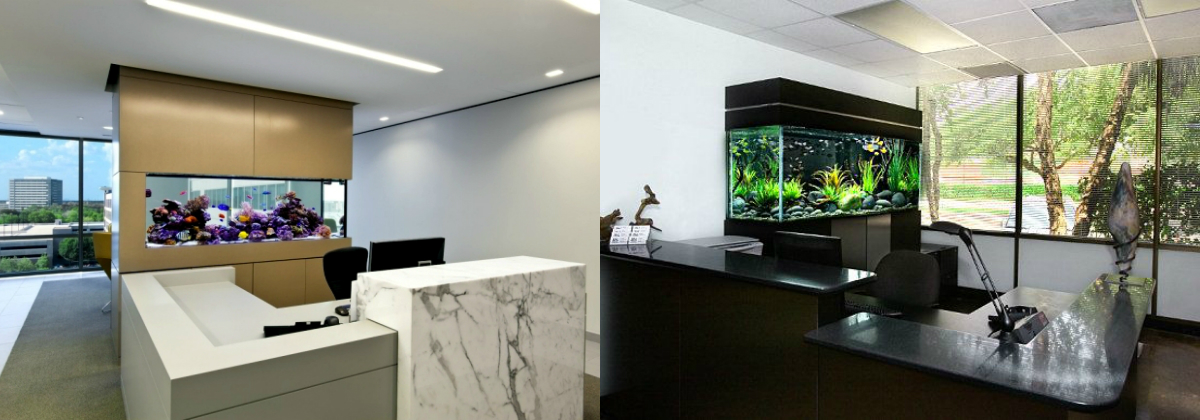Creating The Most Functional Office Design Dreamspace India