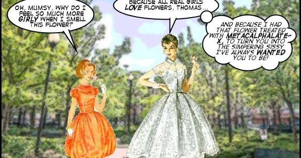 enTRANSed: Blossoming