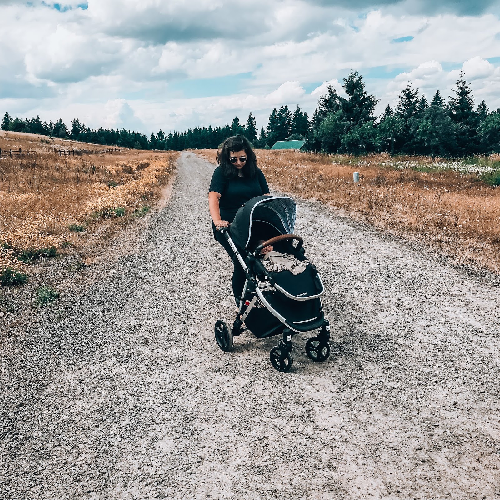 Review | MockingBird Stroller / Mainly Marta :: A Motherhood ...