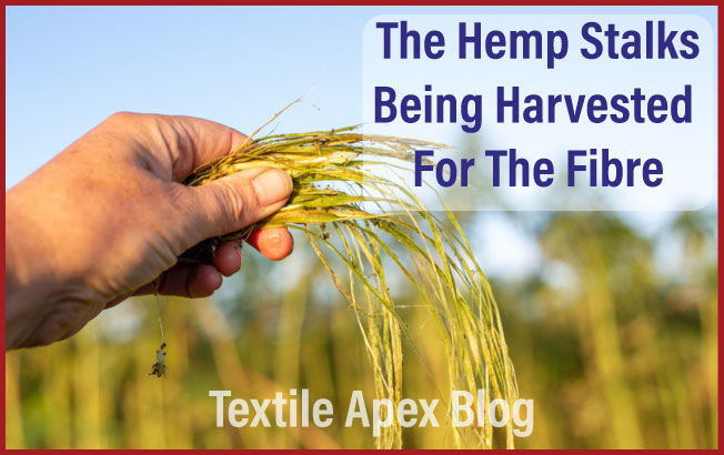 An Overview of Hemp Fibre - Textile Apex