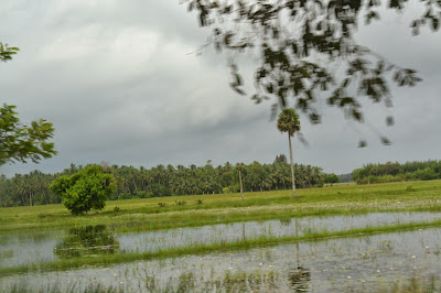 Travel diary of an idiot: In the search of chilika dolphin , Satapada