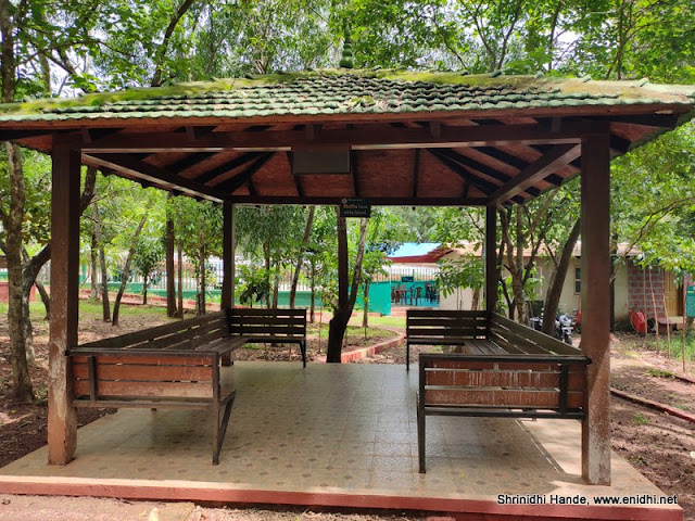 Salumarada Thimmakka Tree Park near Manipal: Photos and complete info ...