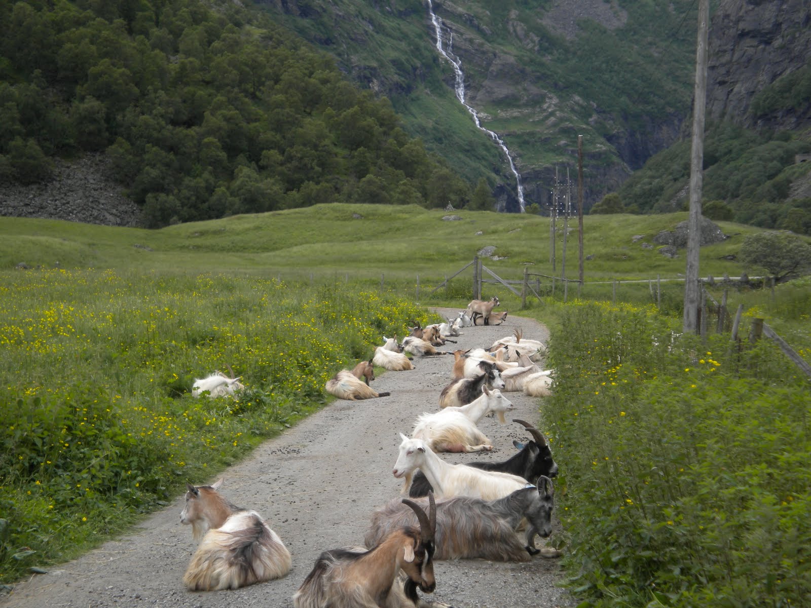 Viking Road Trip: July 2011