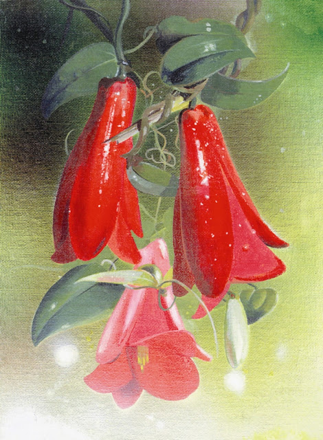 Los comics de Machete: El copihue, una flor y dos leyendas