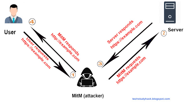 what is ssl stripping method? - Tech Study