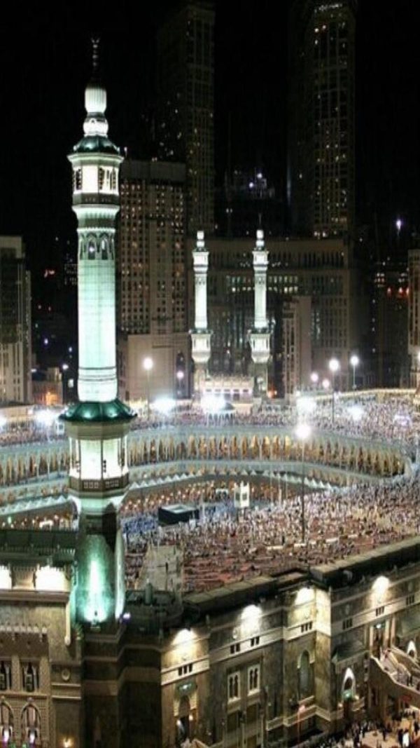 Macca Wallpaper HD - Wallpaper Box