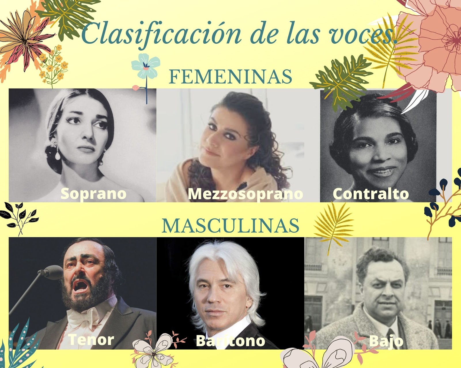 musicadelornia: Clasificación de las voces humanas