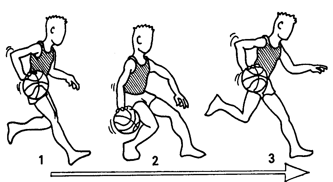 PLE Educación Física: Fundamentos técnicos III: el Bote