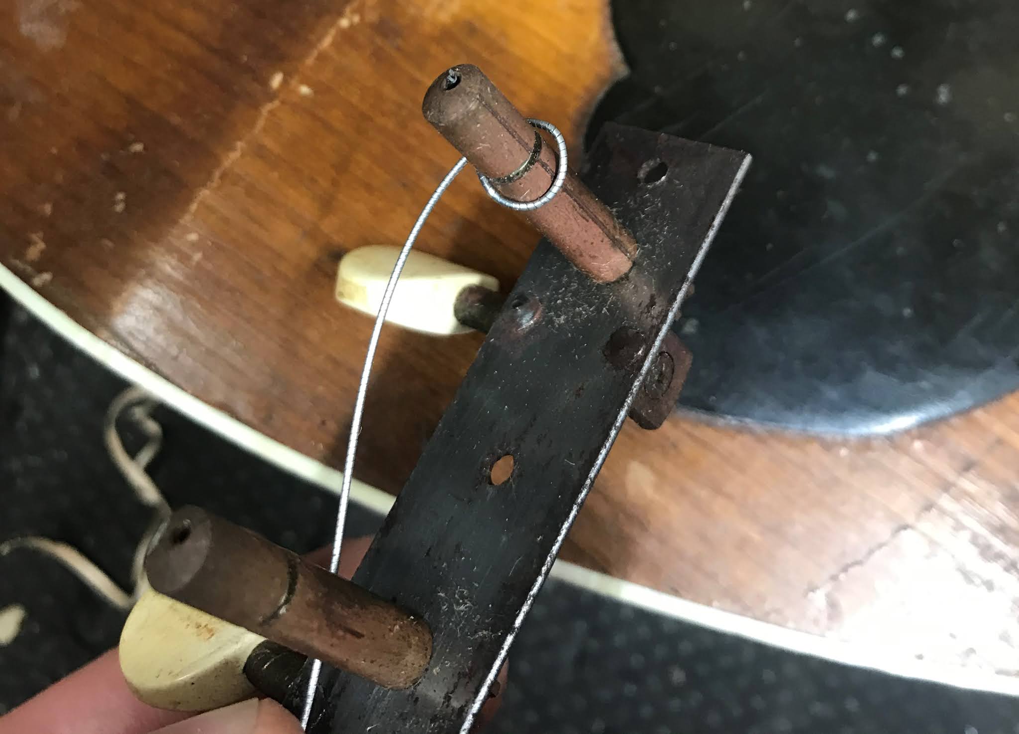 Safe-Ti-String Tuners - S. Nathaniel Adams