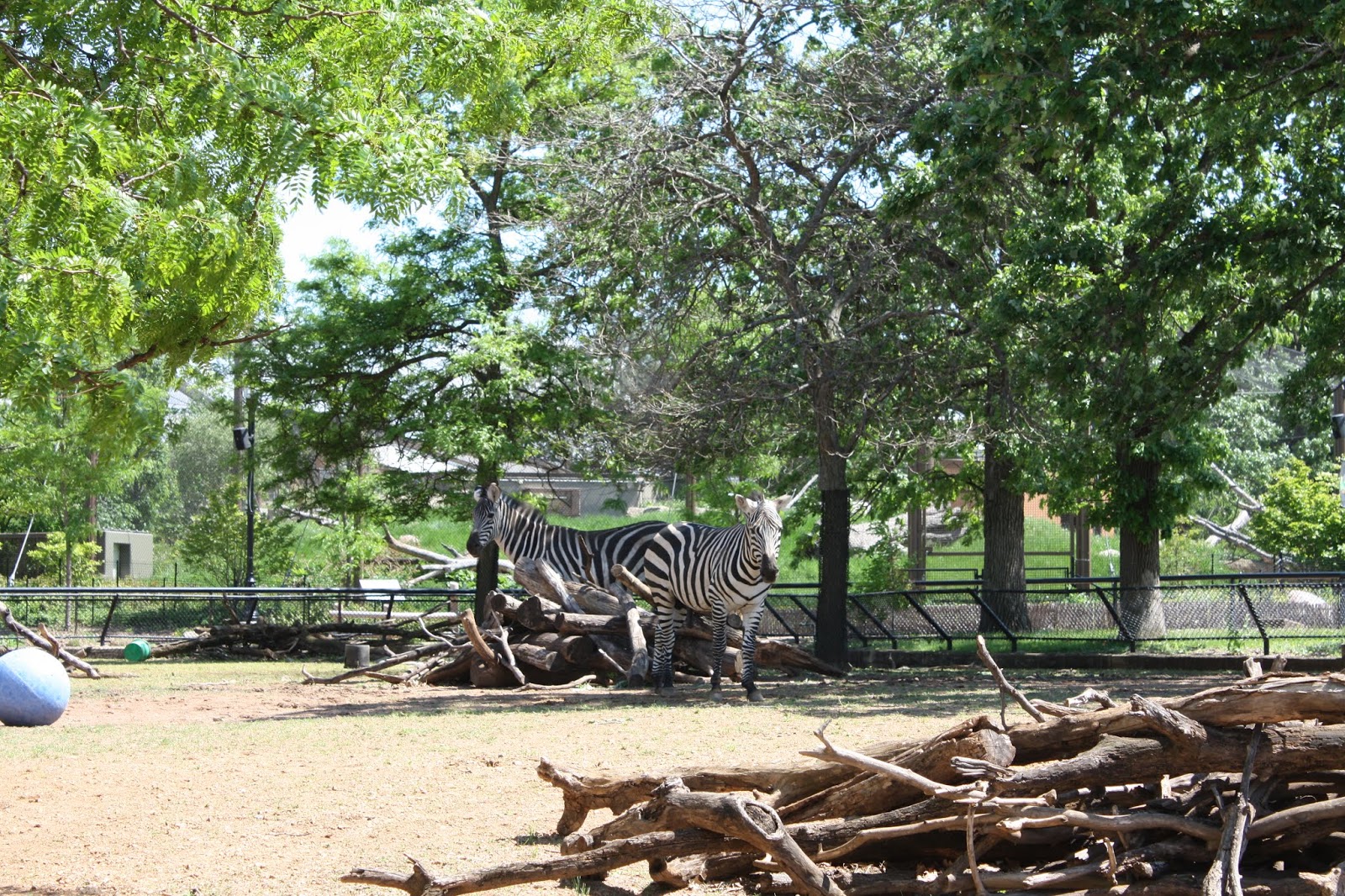A Little Time and a Keyboard: Como Park Zoo and Conservatory in St ...