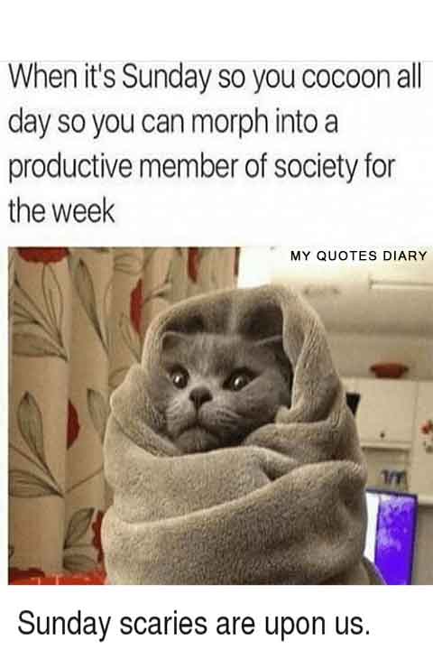 Funny & Inspirational Sunday Quotes With Funny Sunday Memes
