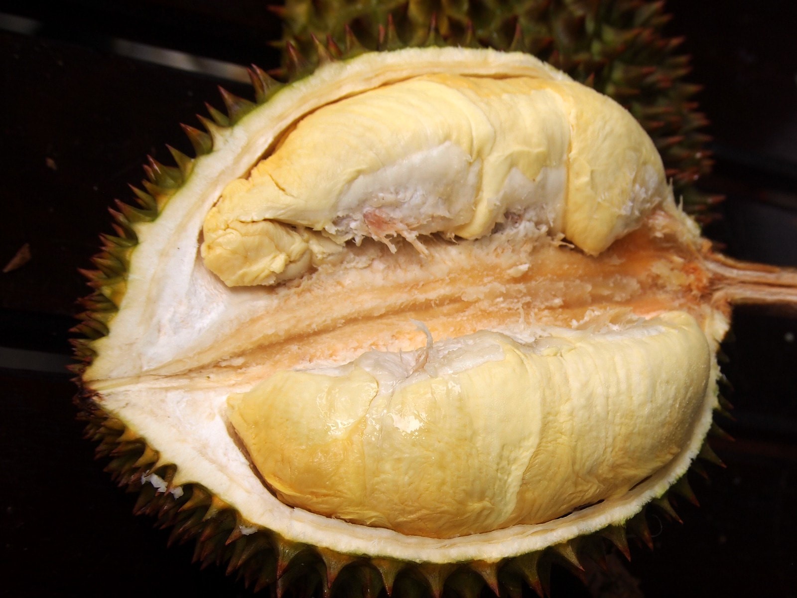 Berita TV Malaysia: Anda mesti baru dengar Durian Tool Tha Wai