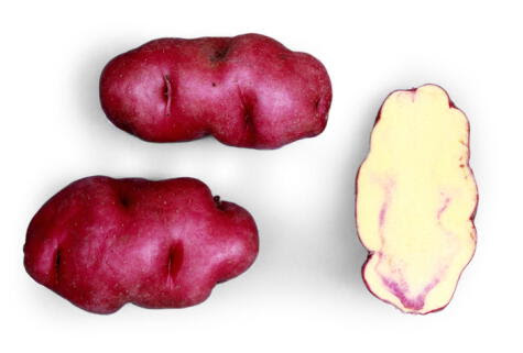 LA PAPA PERUANA: VARIEDADES, CARACTERÍSTICAS Y USOS - RIQUISIMO.pe