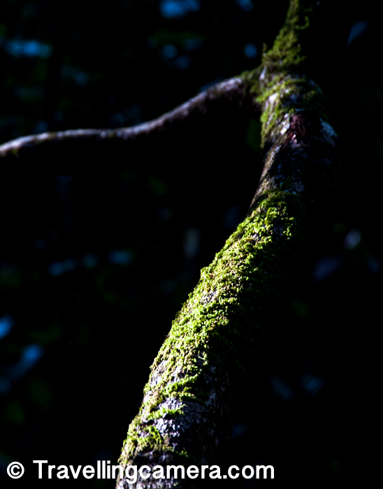 A Weird yet Powerful Photography Composition Rule - "Leave Negative ...