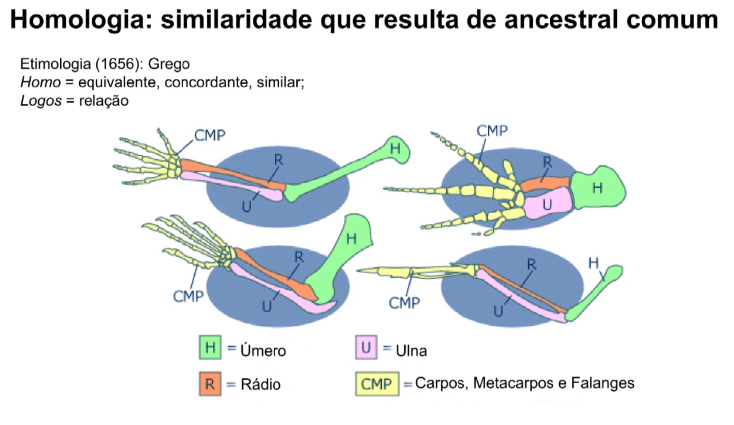 BIOLOGIA PARA A VIDA : CLASSIFICAÇÃO E EVOLUÇÃO 2