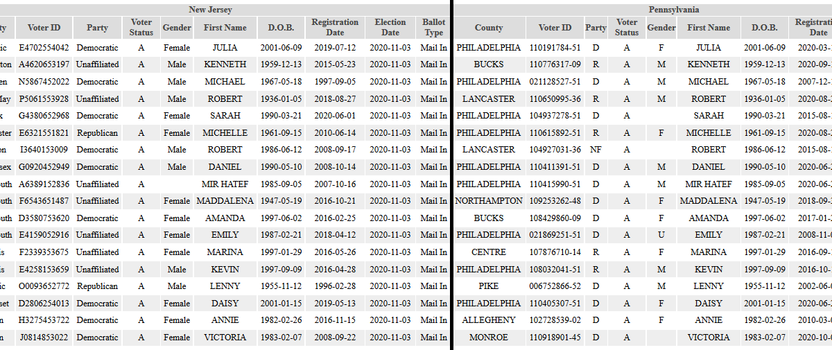 Ballot Watcher - 2020 General Election