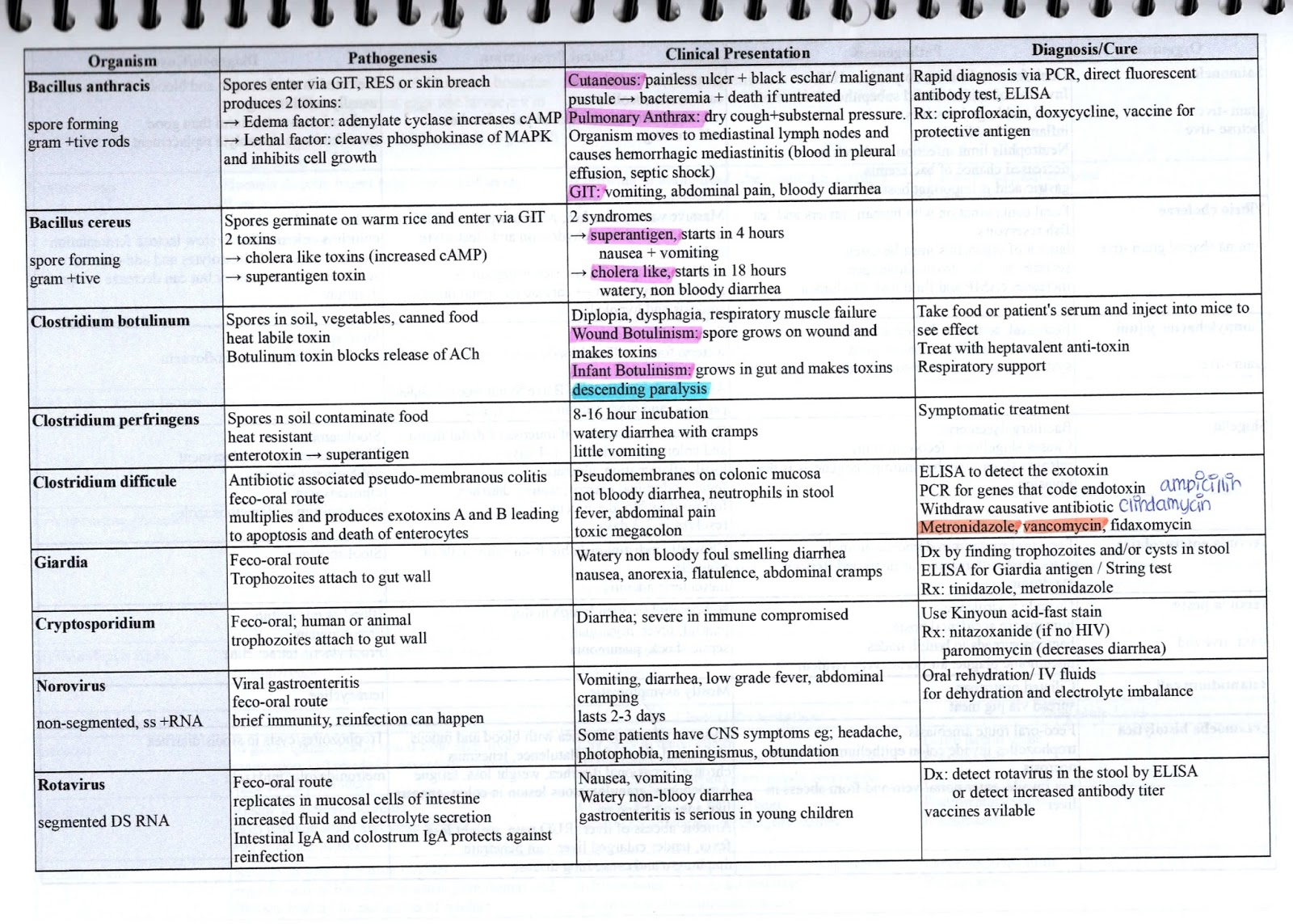 The Complete Guide on How To Study Microbiology in Med School