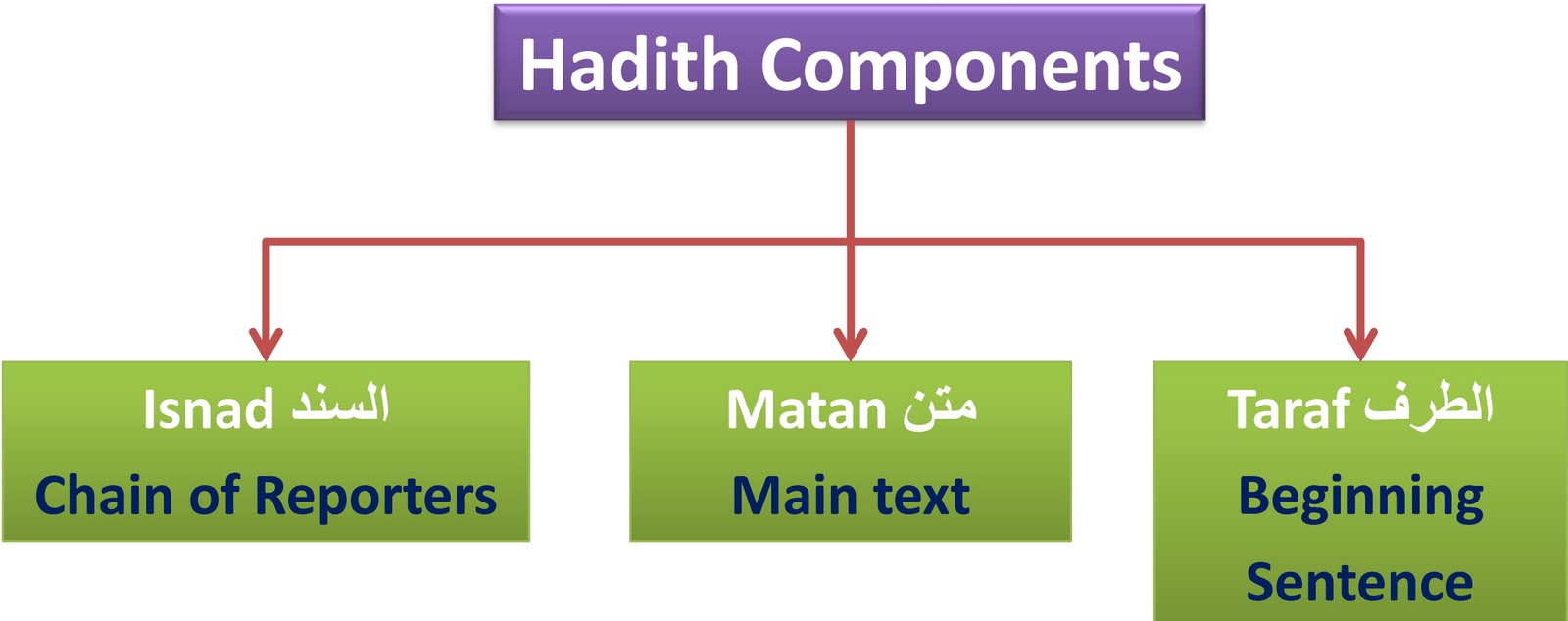 Thankful Slave: 9/11/11 - 9/18/11