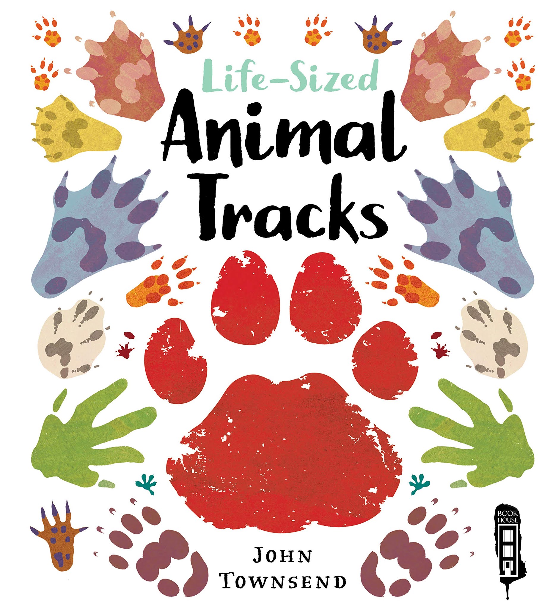 ANIMAL TRACK DRAWINGS