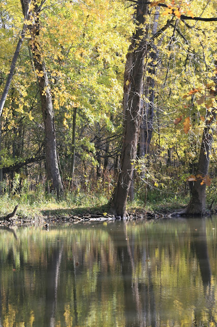 Day Hiking Trails: Loop follows nat'l park's meandering river