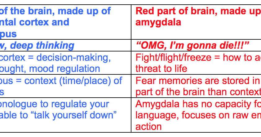 Fostering Attachment: Color-coded Conflict Strategies